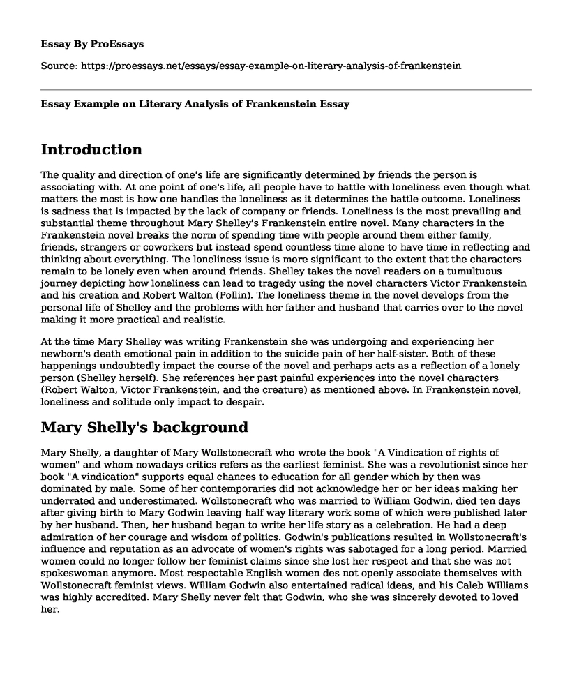Essay Example On Literary Analysis Of Frankenstein Free Essay Term Essay Example On Literary Analysis Of Frankenstein Free Essay Term