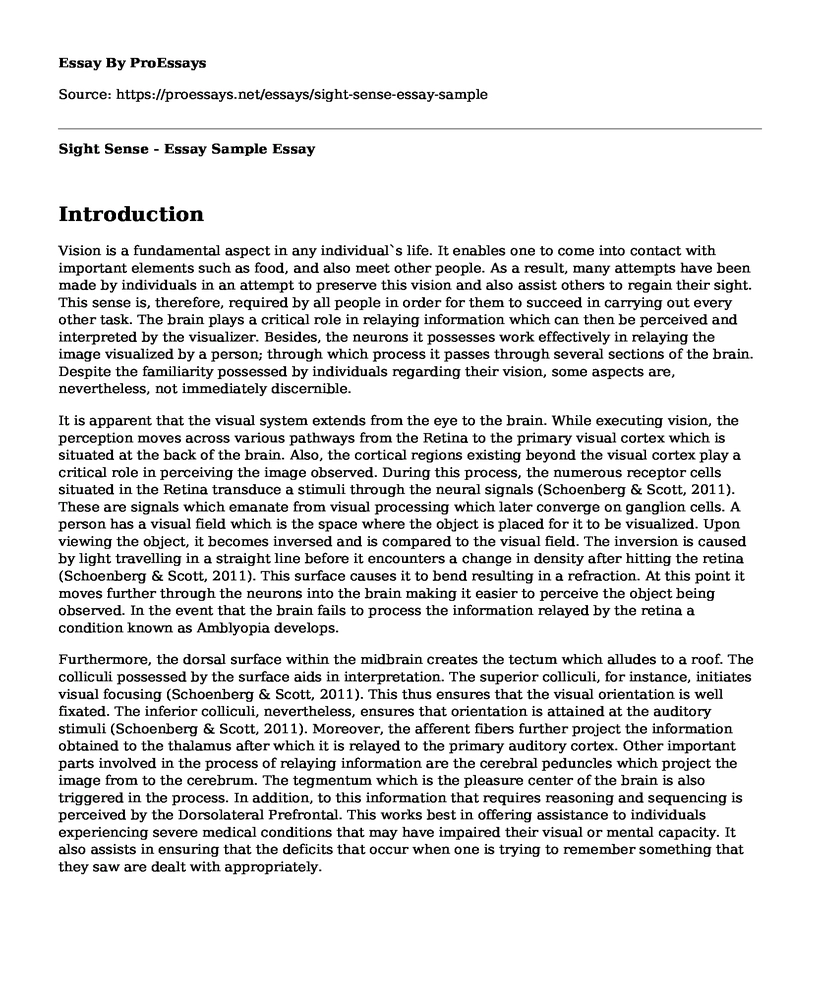 Sight Sense Essay Sample Free Essay Term Paper Example Sight Sense Essay Sample Free Essay Term Paper Example